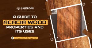 A Closer Look at Acacia Wood Properties and its Uses