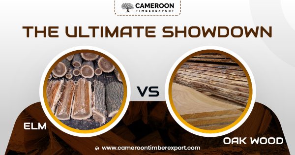 Elm vs Oak : Understanding the Differences